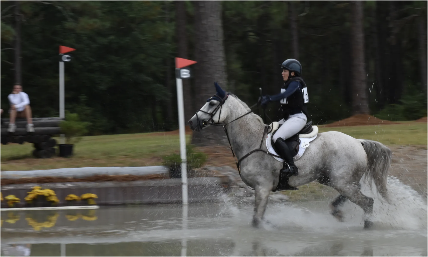 Carolina Horse Park sees record 350 horse registrations at Sept ...